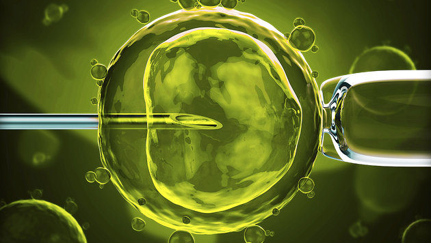 Nye vitenskapelige oppdagelser har åpnet for en era, der mennesker kan ...